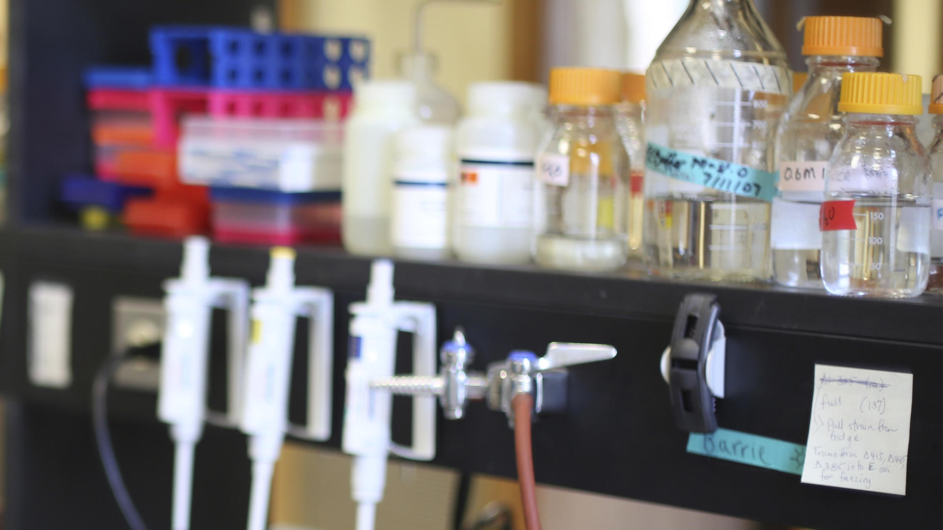 Peterson Research Group | Bio-Organic Chemistry | Rhodes College